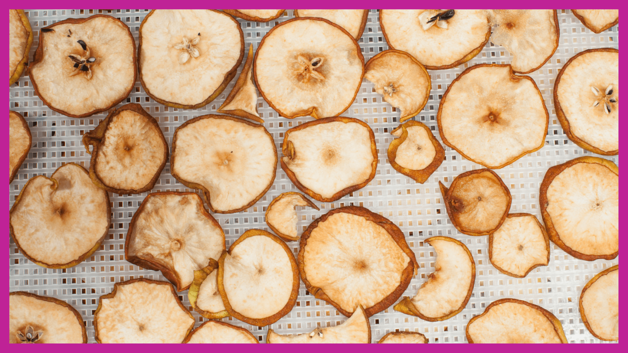 An easy dehydrated pet treat recipe that your fur-baby will love – The ...